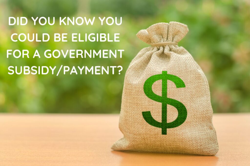 Did You Know You Could Be Eligible For A Government Subsidy/Payment ...